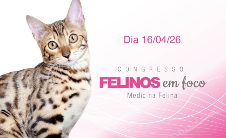 Congresso Felinos em Foco 2026 - Congresso Vet em Foco